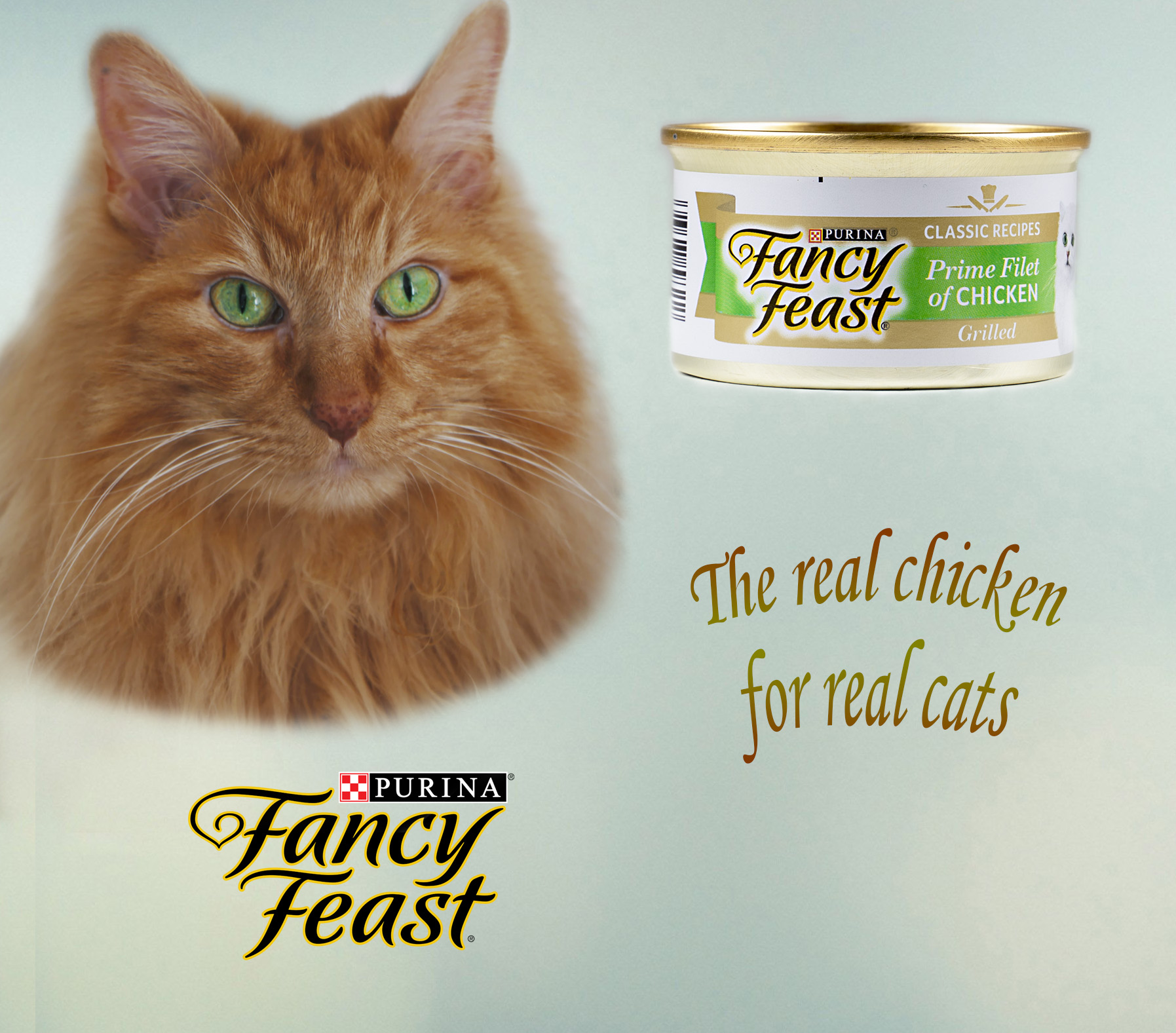 Product Photography - Julia G. Photography